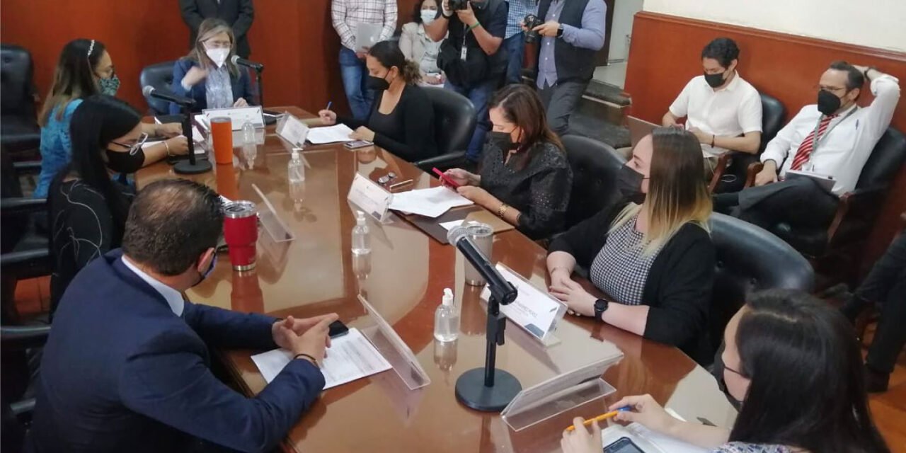 Erika Ramírez - Diputada Local