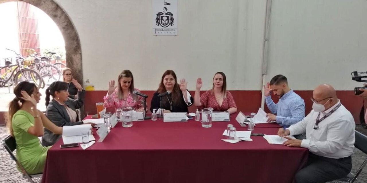Erika Ramírez - Diputada Local