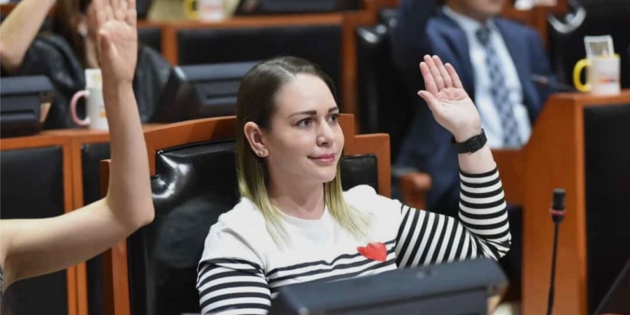 Erika Ramírez - Diputada Local