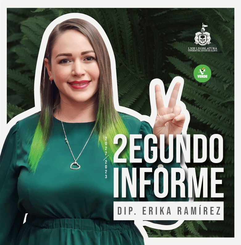 Erika Ramírez - Diputada Local